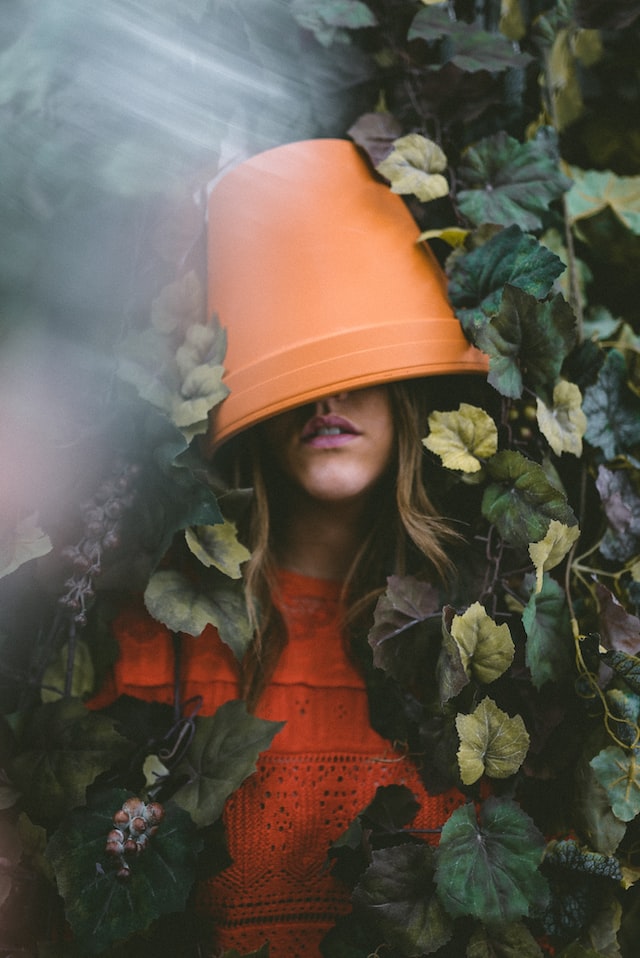 Human Beans are Just Complicated Plants – Musecal Mind